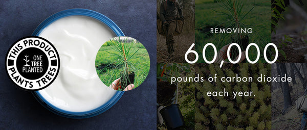 Goal surpassed: reforestation with one tree planted